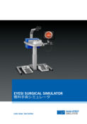 eyesi simulator