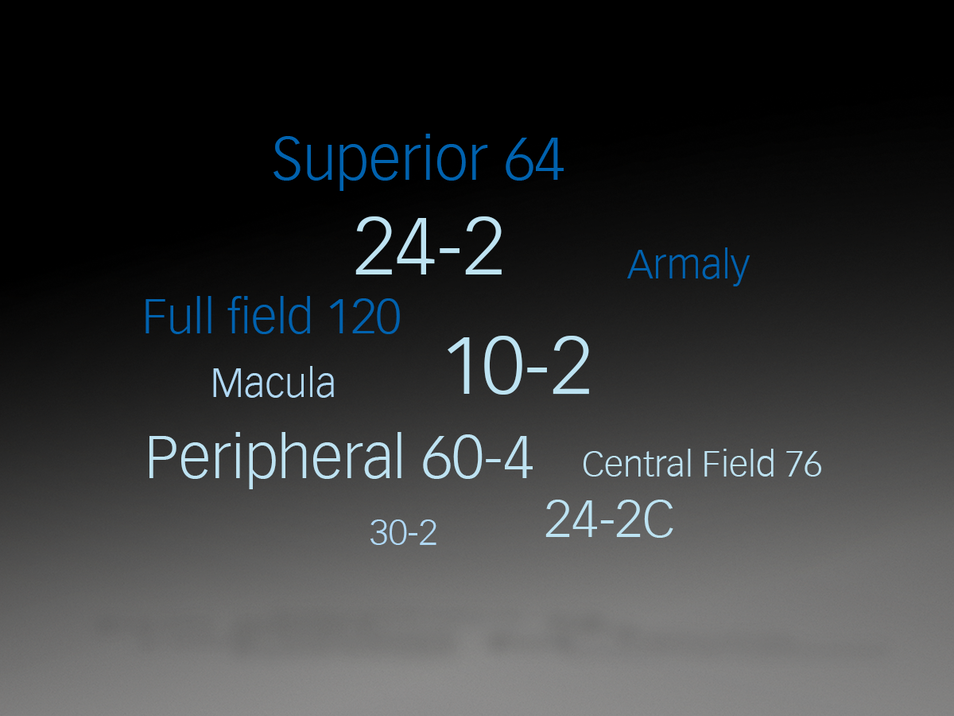 Octopus 900 - Full field static perimetry